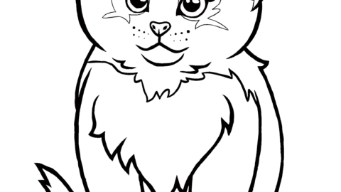 FREE printable Ragdoll Cat Coloring Pages