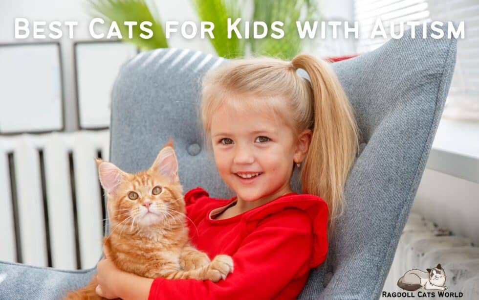 Best Cats for Kids with Autism: Understanding Which Breeds Are Best