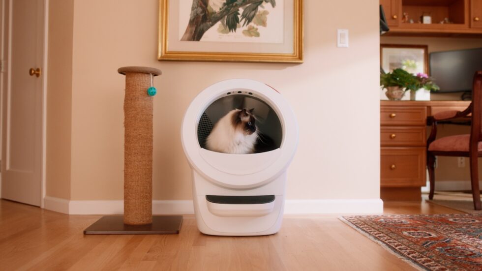 Discover the True Cost of Owning a Litter Robot vs. Traditional Litter ...